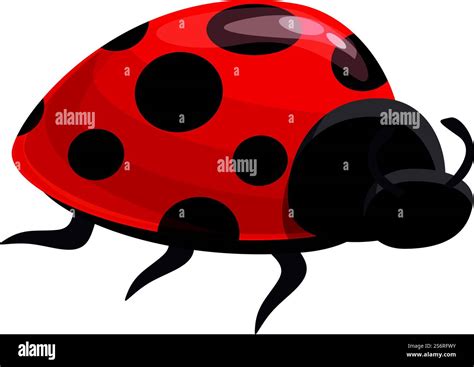 Beetle Bug Icon Cartoon Vector Ladybug Insect Spring Ladybird Beetle