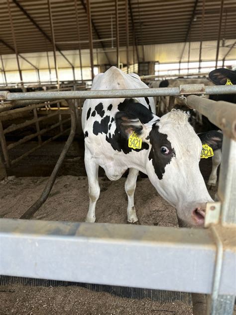 Surveillancesystems Cctvinstallation Securitycameras Securitysystem Peaceofmind