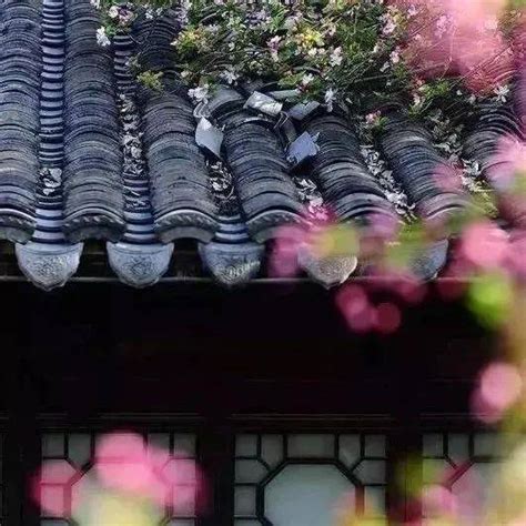南怀瑾老师：历史上经过好几次外族的进攻，为什么中华民族始终站得住？中国文字文化