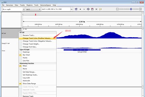 Chip Seq Dap Seq Atac Seq Cutandtag结果可视化 Igv使用攻略 Cuttag测序gain和loss Csdn博客