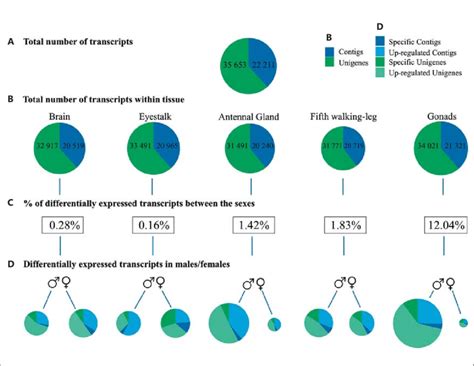 Scalar Depiction Of The Differential Expression Between Male And Female Download Scientific