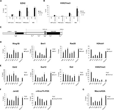 Pcg Core Components And The Associated Histone Marks Are Enriched At Download Scientific