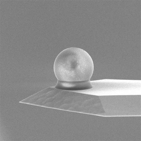 Sqube Cp Fm Bsg Colloidal Afm Probes