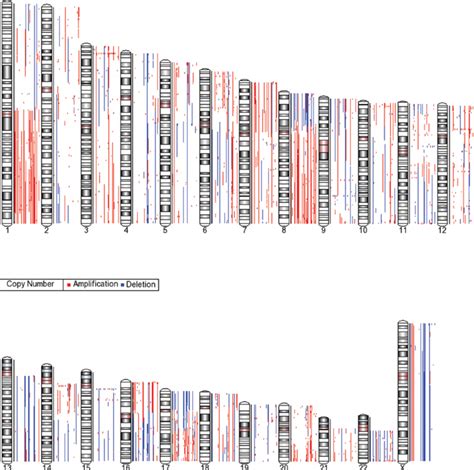 Genomic Copy Number Alterations In Primary Breast Carcinomas Were Download Scientific Diagram