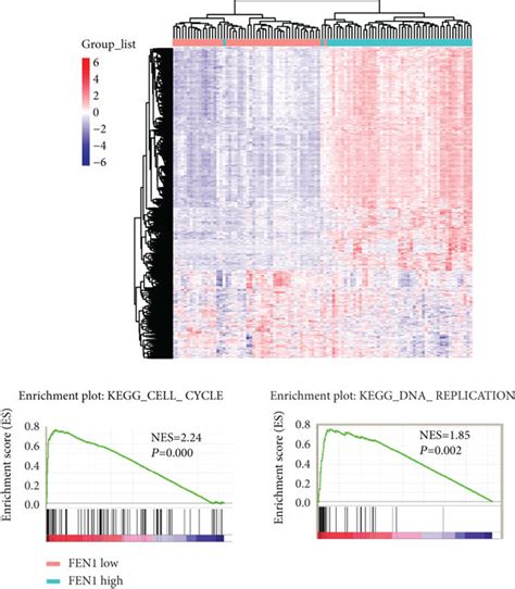 Functional And Pathway Enrichment Analysis A The Heat Map Of The