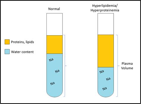 Case 29 Diagnosis And Conclusions