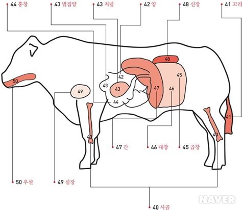 소돼지 부위별 명칭 및 해설 네이버 블로그