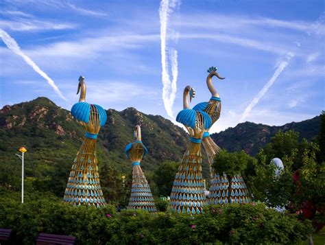 巨各庄镇蔡家洼玫瑰情园夜景公园 美景美图 北京市密云区人民政府