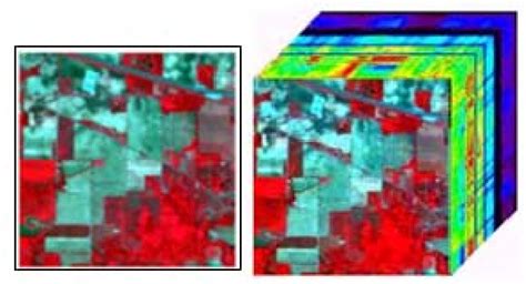 Figure 2 From A Novel Filter Based On Three Variables Mutual Information For Dimensionality