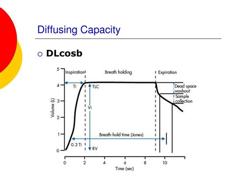 Ppt Diffusing Capacity Powerpoint Presentation Free Download Id 257766