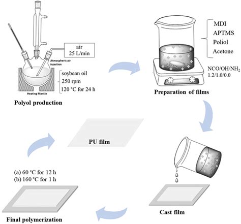 Schematic Representation Of The Methodology Used To Produce The Pu
