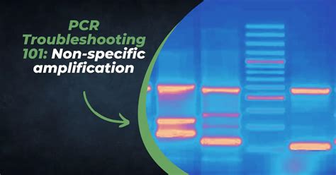 Qpcr Primer Dimer Troubleshooting At Justin Winnie Blog
