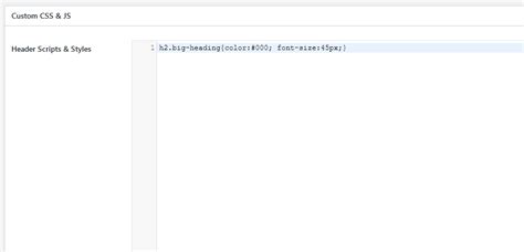 如何轻松地将自定义 Css 和 Js 代码添加到您的 Wordpress 网站？ Wprbs