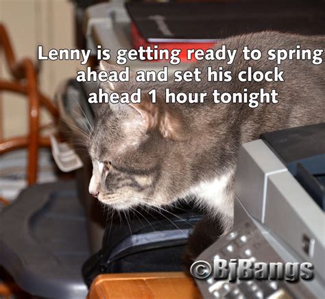 Springing Ahead Setting Clocks Ahead Like A Cat Paws For Reflection