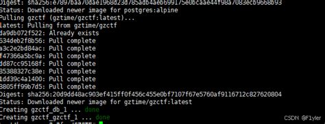 记一次ctf校赛gzctf的搭建，web动态容器，以及包含遇到的问题等等gzctf Csdn博客