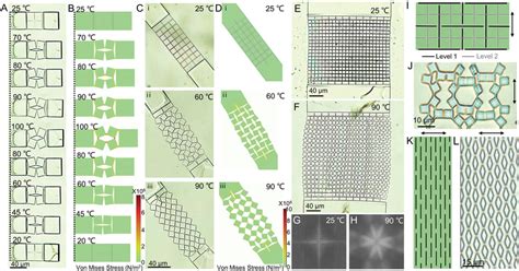 Shape Morphing Of The Kirigami Microstructures With Different Unit Download Scientific Diagram Shape Morphing Of The Kirigami Microstructures With Different Unit Download Scientific Diagram