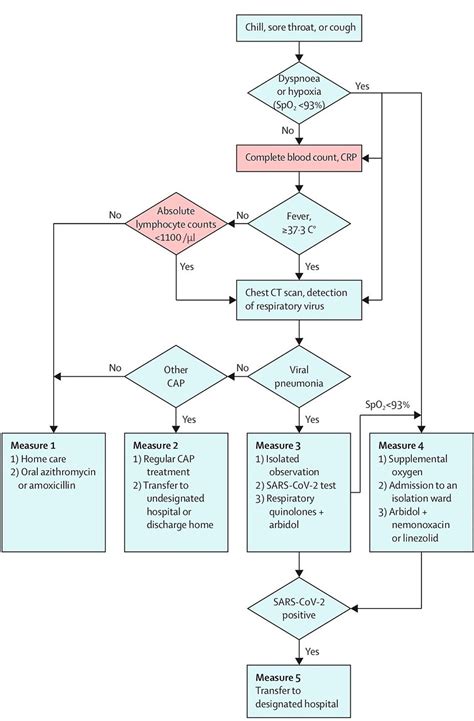 Hematology Disease Flow Chart Differential Algorithm For The Causes Of