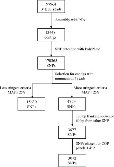 Snp Selection Process For Cgp Panels 1 And 2 Flowchart Showing The