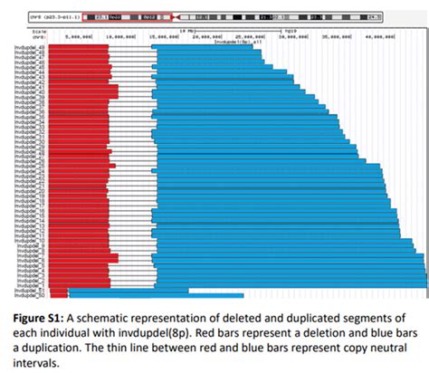 8p基因组病的临床和基因组特征个体