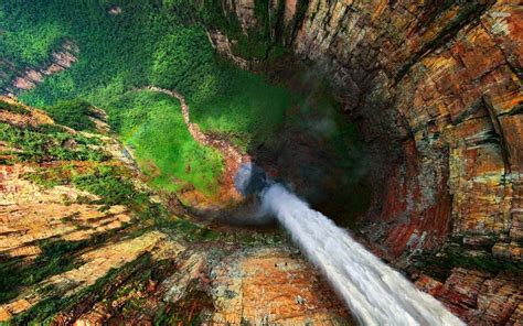 Venezuela Wallpapers Wallpaper Cave Hd Wallpaper Capybara Venezuela