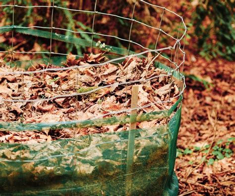 Different Composting Methods Gardening Lessons Sustainable Gardens