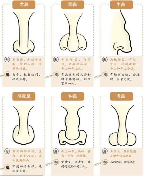 伏犀鼻代表人物 伏犀鼻名人 伤感说说吧