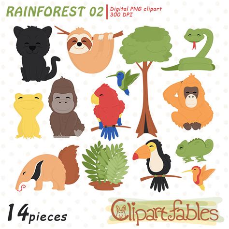 Cute Rainforest Animals Pictures