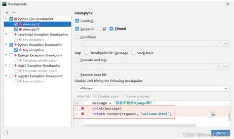 Django讲课笔记04：django项目的调试django怎么输入输出调试 Csdn博客