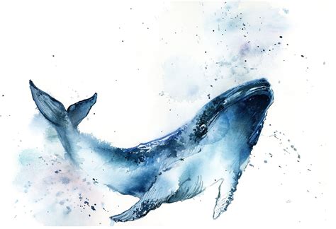 Blue Whale Watercolor Painting Sea Animals Artwork