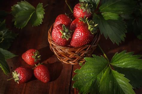 Avoid These Fatal Errors For A Better Strawberry Yield
