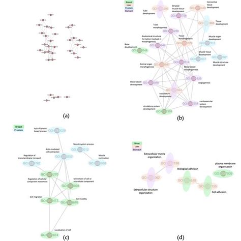 Functional Similarity Of Go Terms Associated With Mrnas Of Positive Download Scientific Diagram