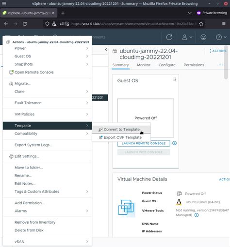 Creating Vms For Kubernetes Using Terraform And Vmware Vsphere