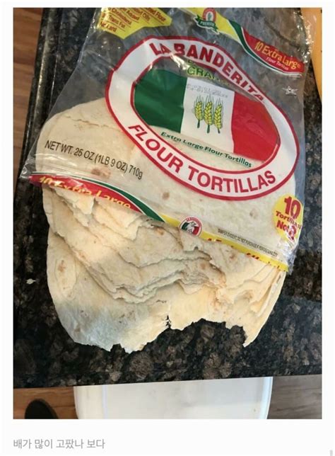 혼란한 육아사진 모음집 포텐 터짐 최신순 에펨코리아