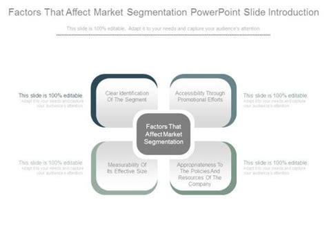 Factors That Affect Market Segmentation Powerpoint Slide Introduction
