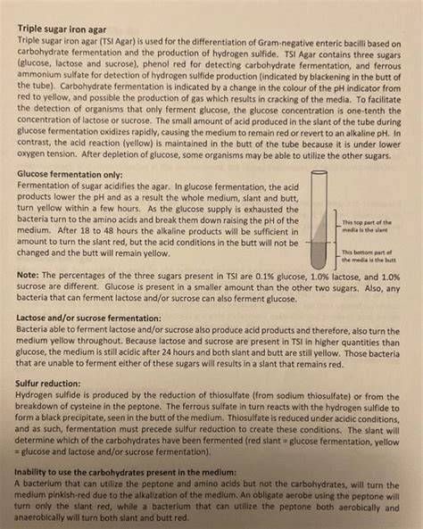 Solved Complete The Following Table And Submit It At The Chegg