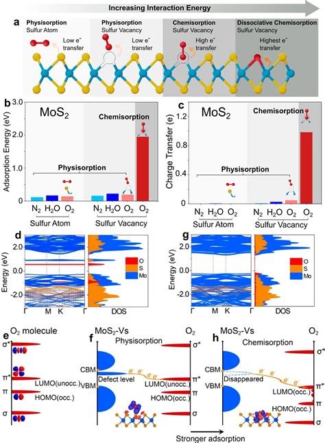 Toward Phonon Limited Transport In Two Dimensional Transition Metal Dichalcogenides By Oxygen