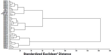 Dendrogram Showing The Clustering Pattern Of Forty Nine Inbreds Of