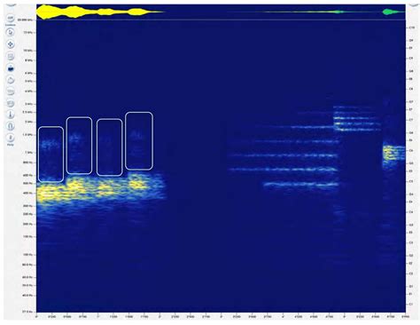 Spectrograph Analysis 11 Of 26