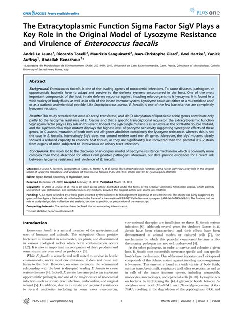 Pdf The Extracytoplasmic Function Sigma Factor Sigv Plays A Key Role In The Original Model Of