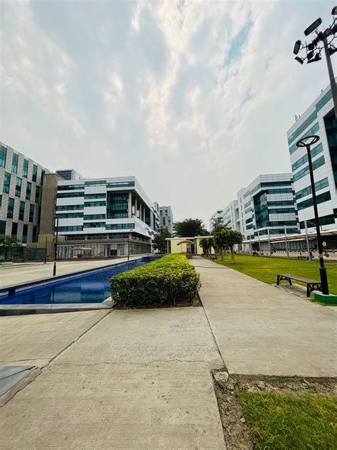 Shreya Gupta On Linkedin Work Workplace Candor Capgemini