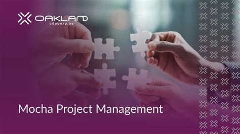 Mocha Project Management Method Benefits To Businesses