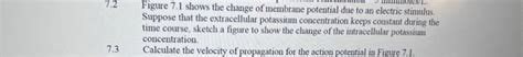 Solved Depolarization Process First Occurs At The