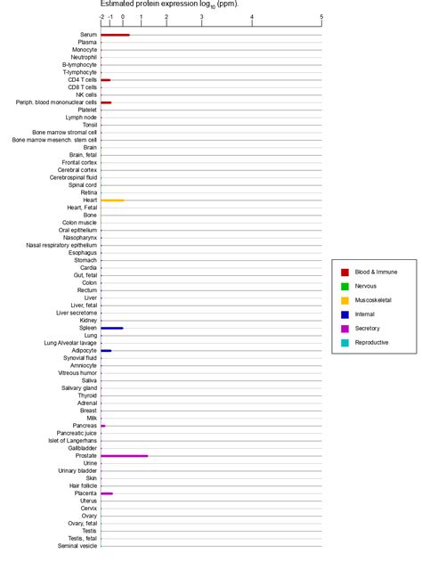 Vps13b Gene Genecards Vp13b Protein Vp13b Antibody