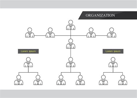 Premium Vector Organization Chart Infographics