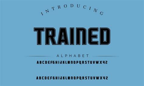 손으로 그린 ⁇ 터 알파 ⁇ 현대 모놀린 서명 스크립트 폰트 우아한 서명 폰트 프리미엄 벡터