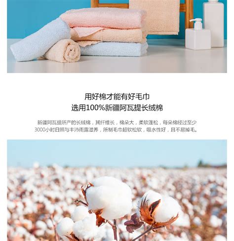 阿瓦提棉花 阿瓦提 阿瓦提长绒棉 大山谷图库