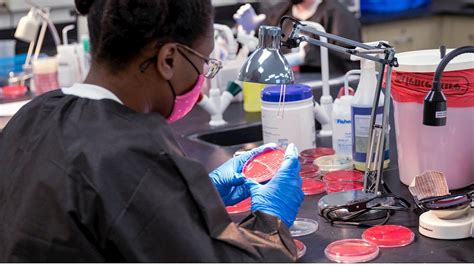 Master Of Science In Medical Laboratory Science Program To Hold Virtual