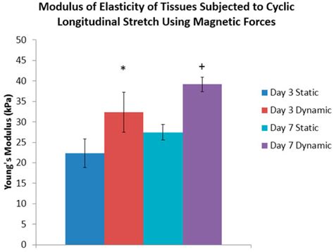 Bioengineering Special Issue Vascularized Tissue Models In Regenerative Engineering