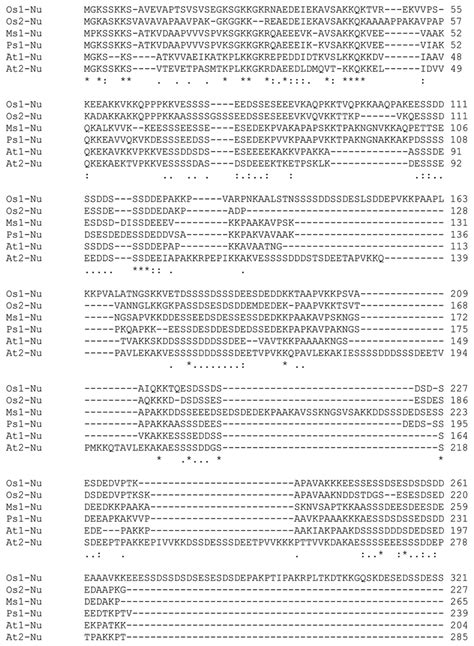 Multiple Sequence Aligment Of Plant Nucleolin Protein Nucleolin Download Scientific Diagram