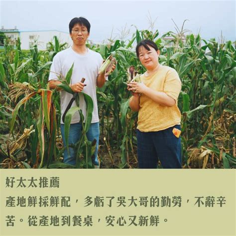 玉眾不同 白龍王水果玉米8台斤裝